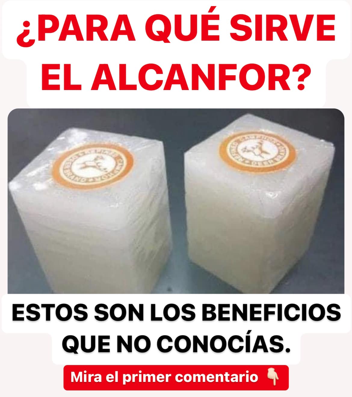 Te diré. Para que sirve el alcanfor; Los beneficios que no conocías ...